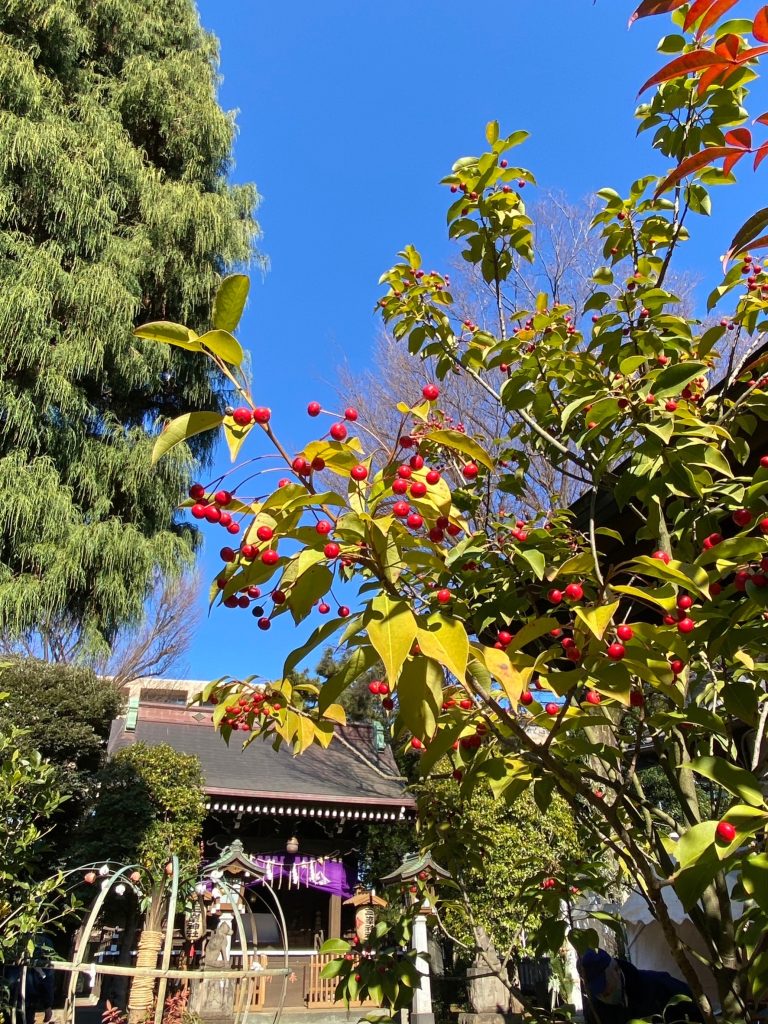 成城消防団年末特別警戒への激励がありました。 – 砧町町会